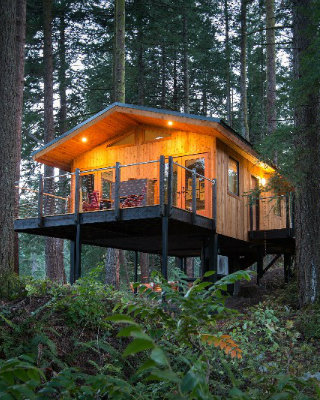 Discover 7 Eco-Friendly Luxury Treehouses You Will Love To Stay In ...
