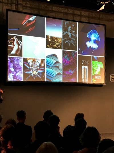 A Peek into the Best of Day 2 of IMM Cologne 2020! | CovetED Magazine